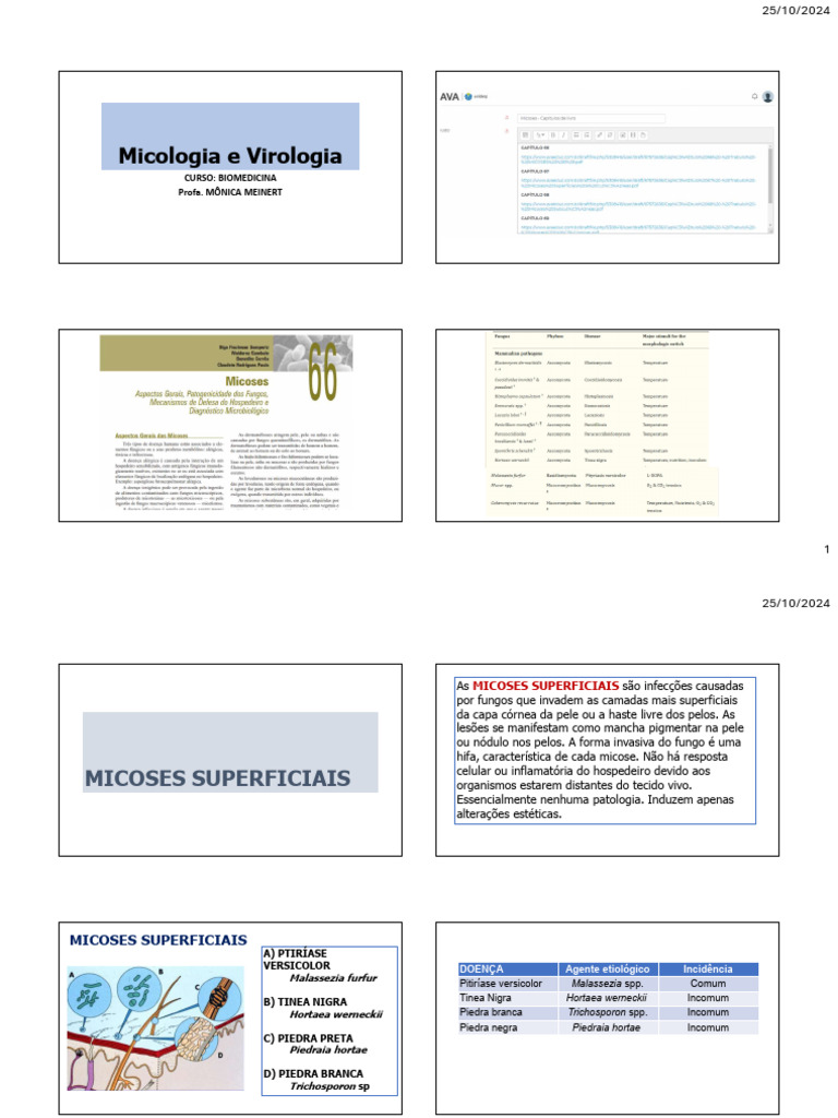 Micoses Superficiais: Tipos e Causas | PDF | Biologia