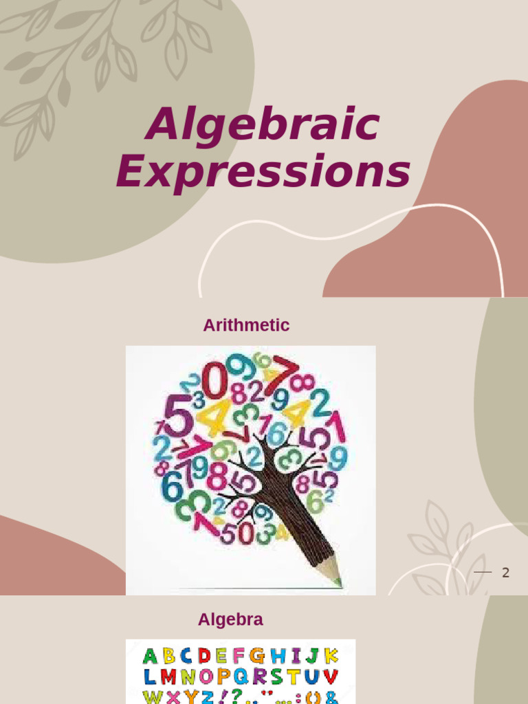 Algebraic Expressions | PDF | Multiplication | Variable (Mathematics)