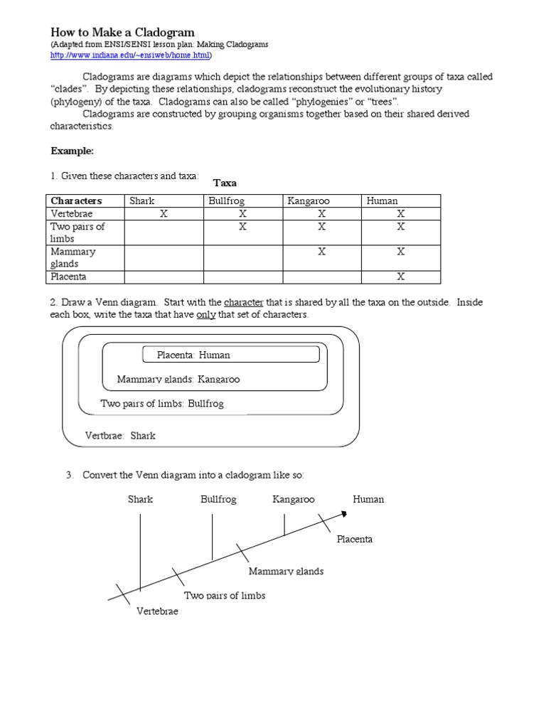 Creating Cladograms: A Guide | PDF | Taxon | Biological Classification