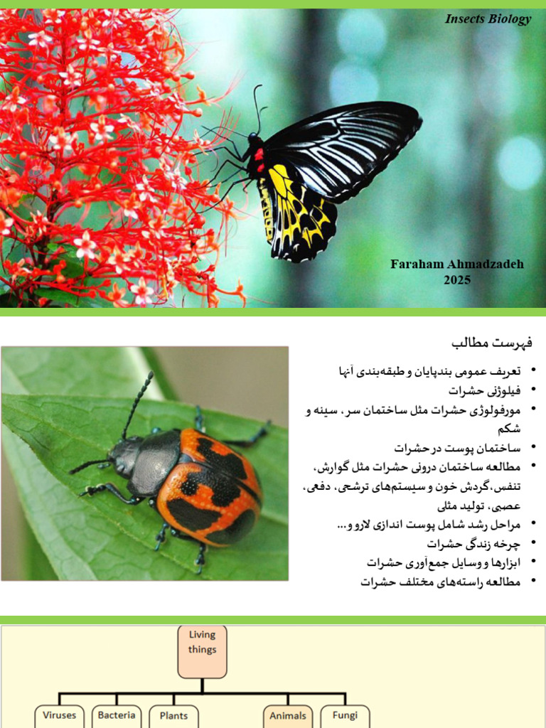 Insects Biology: Faraham Ahmadzadeh 2025 | PDF