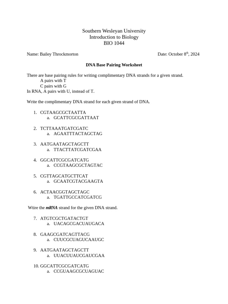 DNA Base Pairing Worksheet Guide | PDF