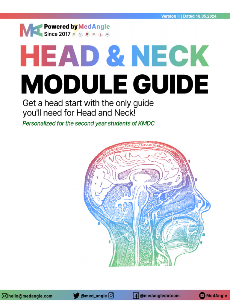 Head and Neck Anatomy Study Guide | PDF | Neck | Human Digestive System