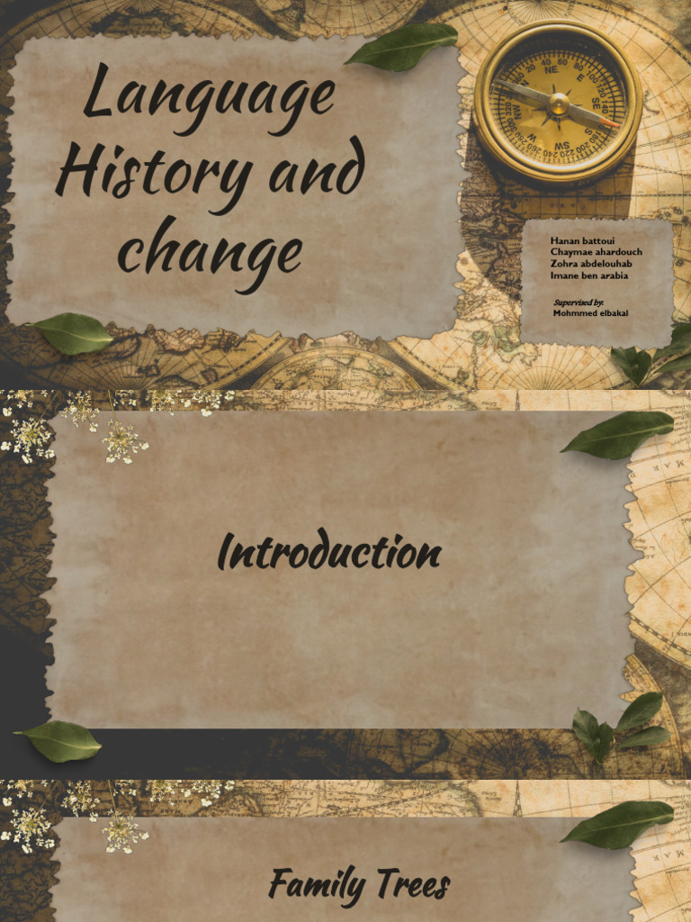 Language Evolution and Change Overview | PDF | English Language | Word