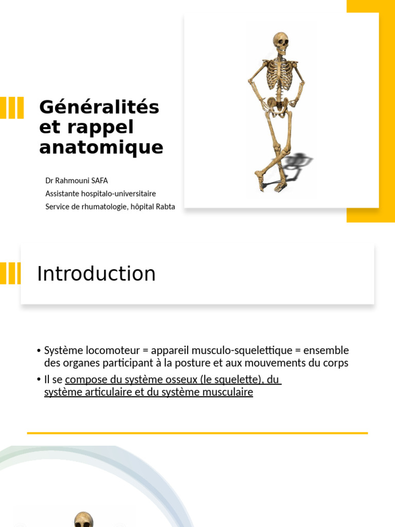 Anatomie du Système Locomoteur humain | PDF | Articulation (anatomie ...