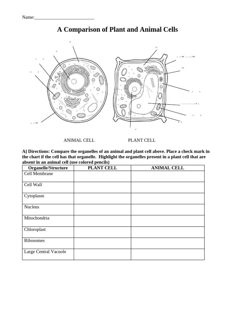 Christy Pan - DN ?cell Organelles Animal and Plant Cell 9.29.25 | PDF ...