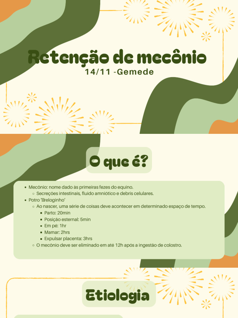 Group Project.pdf | PDF | Gravidez | Medicina Clínica