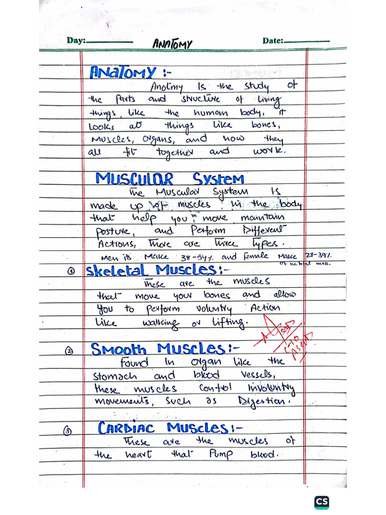Anatomy Mid Term Course | PDF