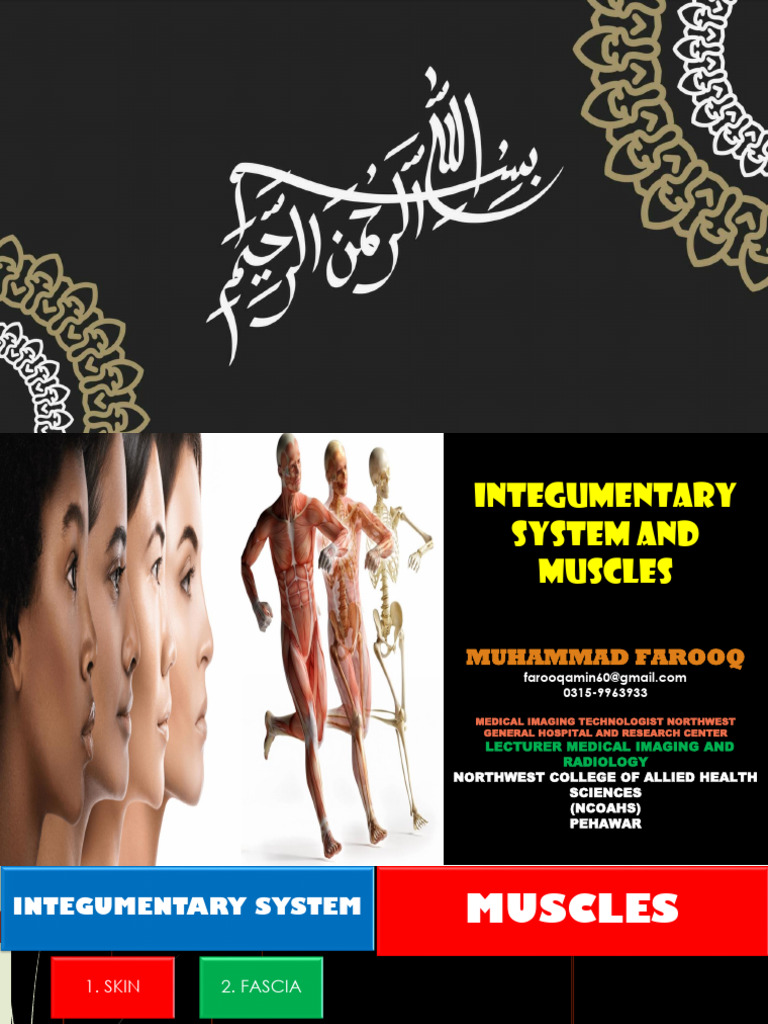 Integumentary System and Muscle Overview | PDF | Muscle | Integumentary ...