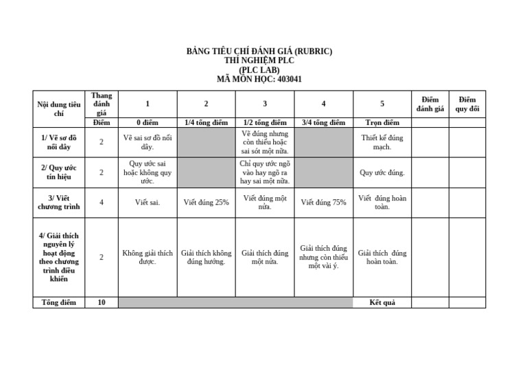 403041 Tn Plc Rubric | PDF
