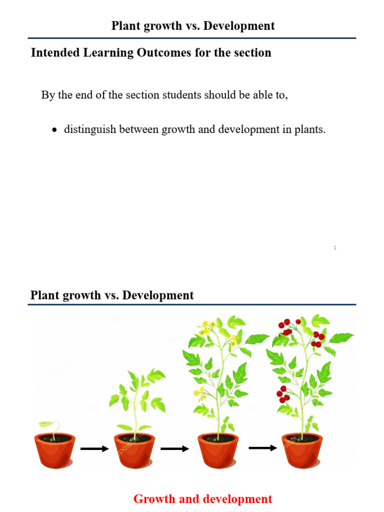 1-Plant Development - Plant Growth vs. Development | PDF