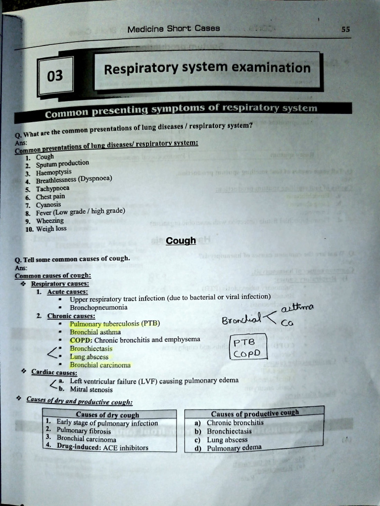 Common Respiratory Symptoms and Causes | PDF | Respiratory Diseases | Lung