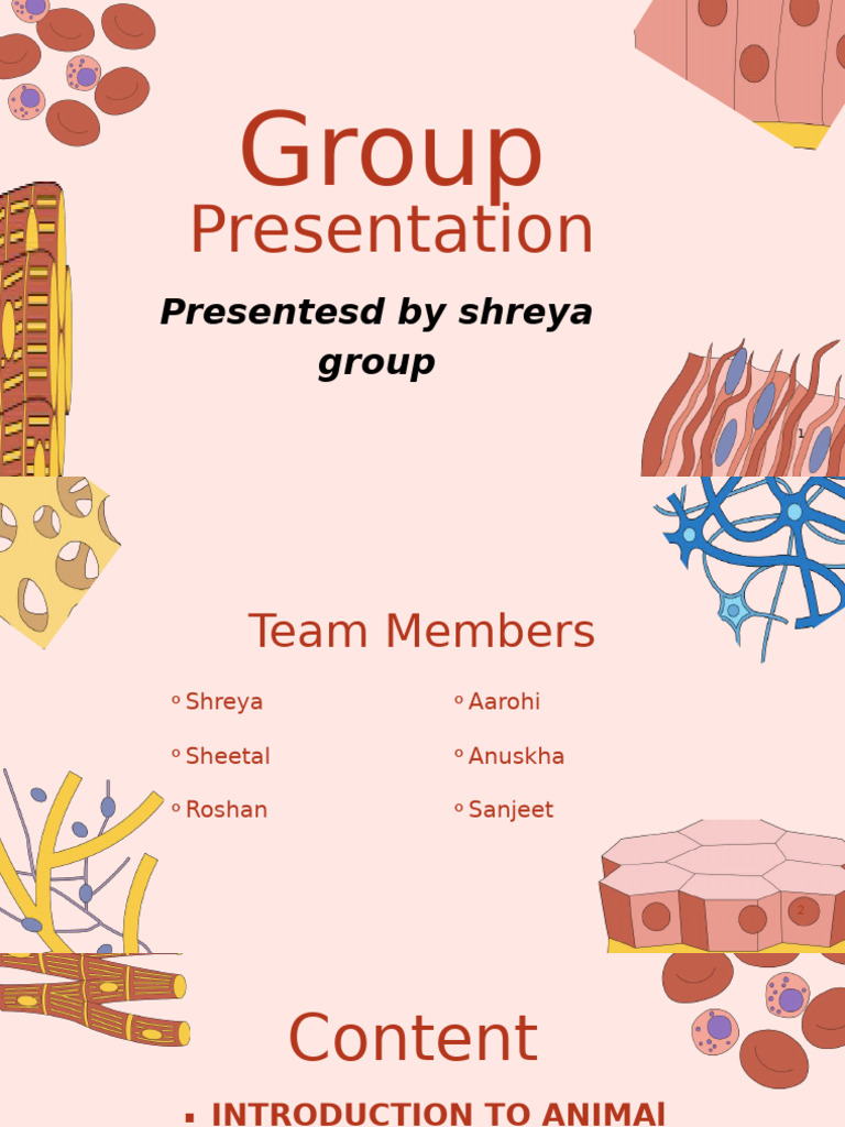 Overview of Animal Tissue Types | PDF | Epithelium | Connective Tissue