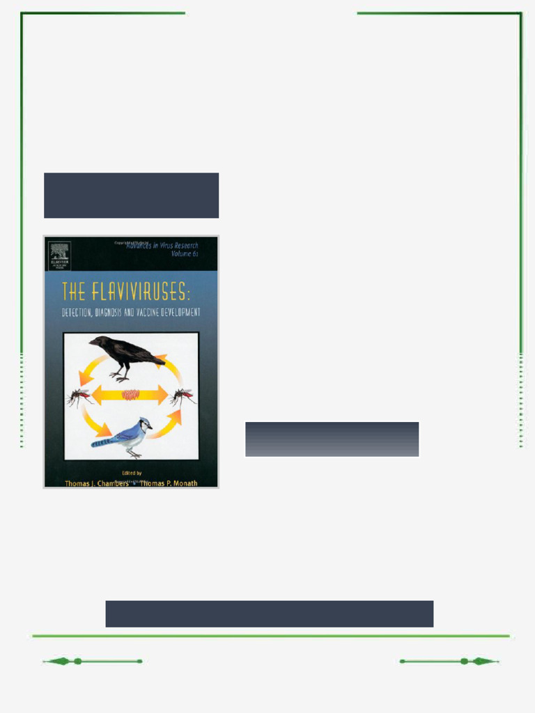 The Flaviviruses Detection Diagnosis and Vaccine Development 1st ...