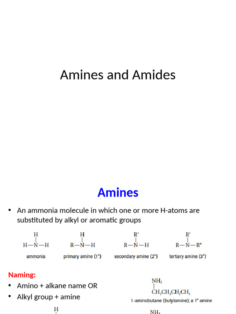 6 Amines and Amides | PDF