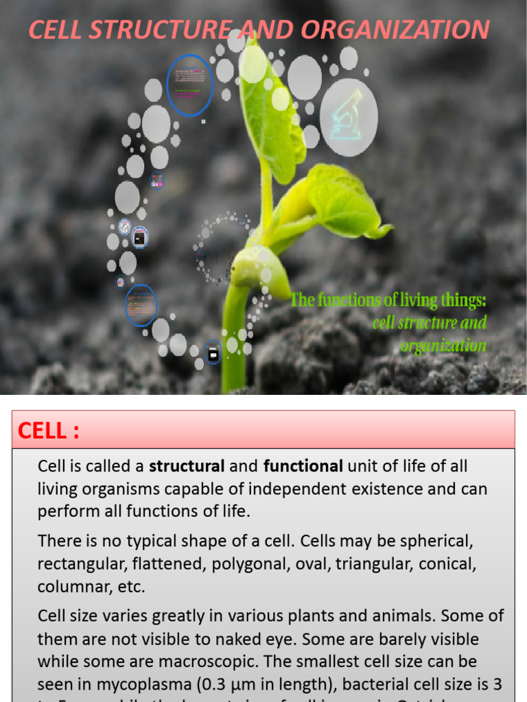 Cell Structure and Organization | PDF | Endoplasmic Reticulum | Cell ...