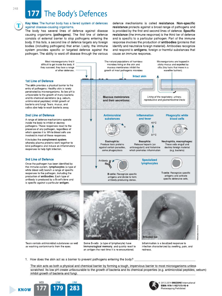 Defence Against Infectious Disease Worksheets | PDF | Coagulation ...