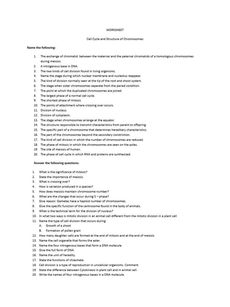 Cell Cycle N Structure of Chromosomes Worksheet | PDF | Meiosis ...