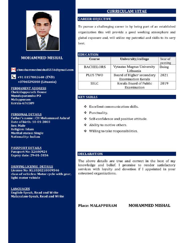 Cv Compressed 2 | PDF