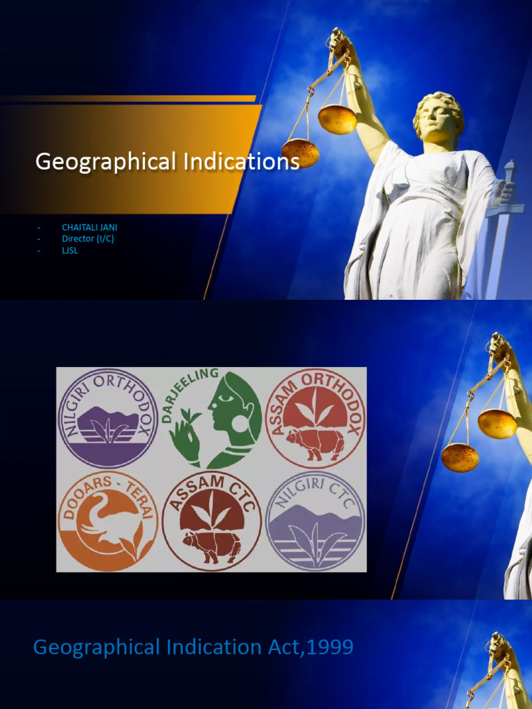 Understanding Geographical Indications in India | PDF | Legal Remedy ...