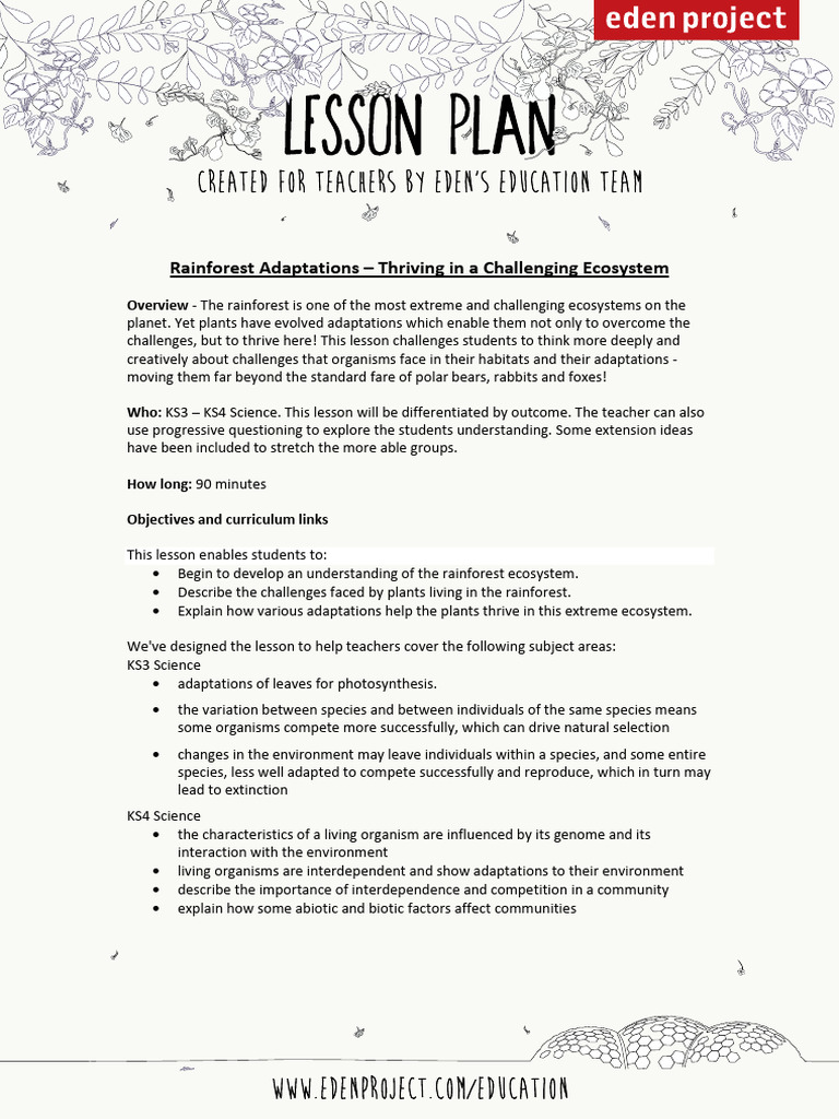 Rainforest Adaptations Lesson Plan | PDF | Ecosystem | Rainforest