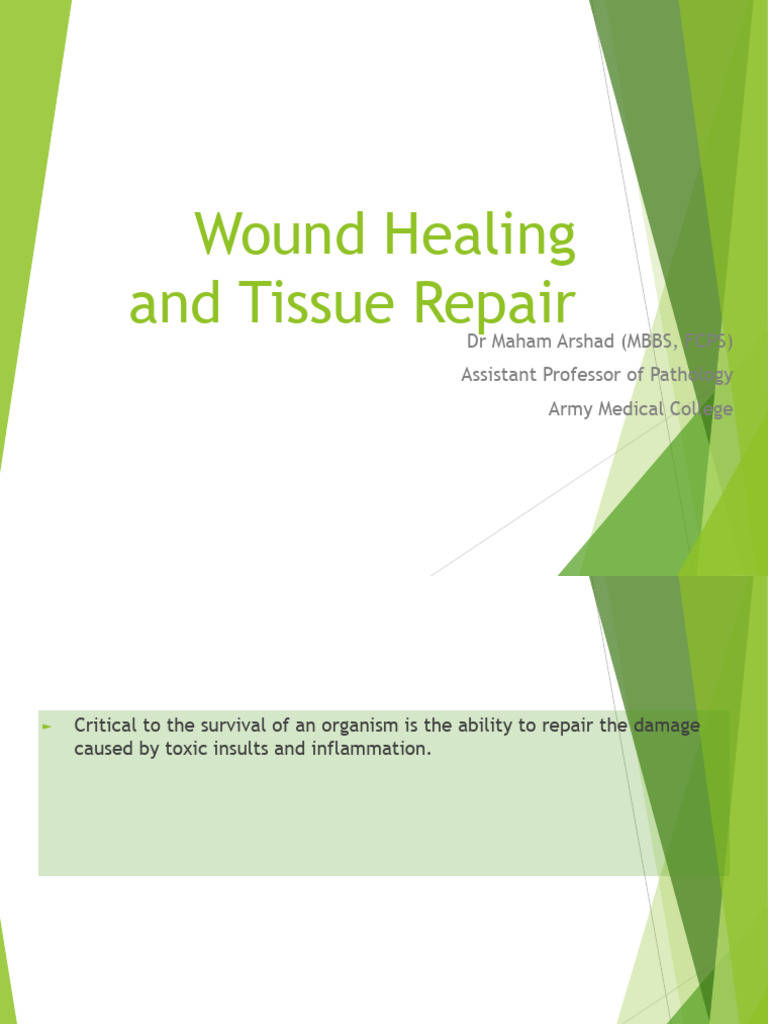 Wound Healing and Tissue Repair Guide | PDF | Wound Healing | Angiogenesis