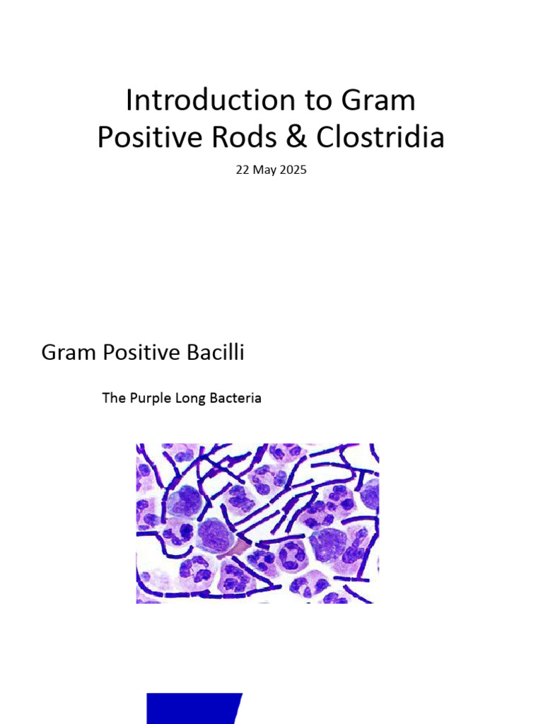 Overview of Gram Positive Rods & Clostridia | PDF | Bacillus | Gram ...