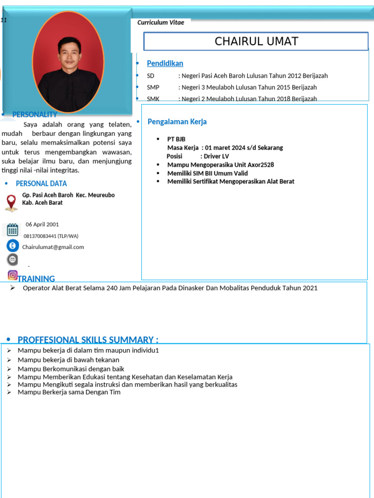 CV Chairul Umat: Driver Berpengalaman | PDF