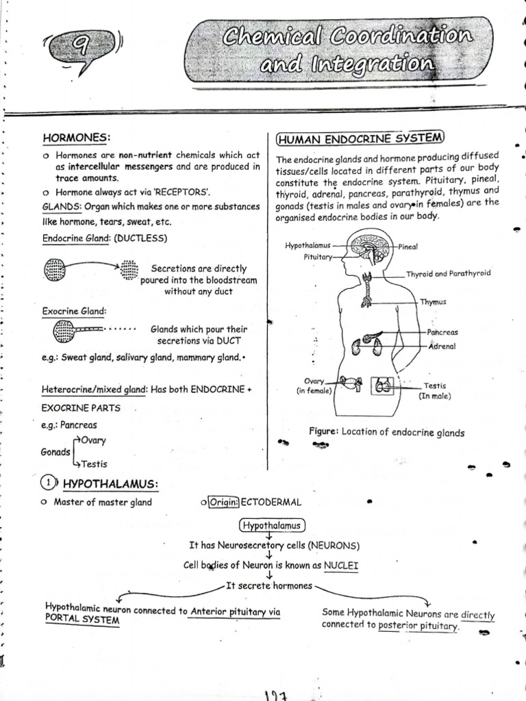 Class Notes | PDF