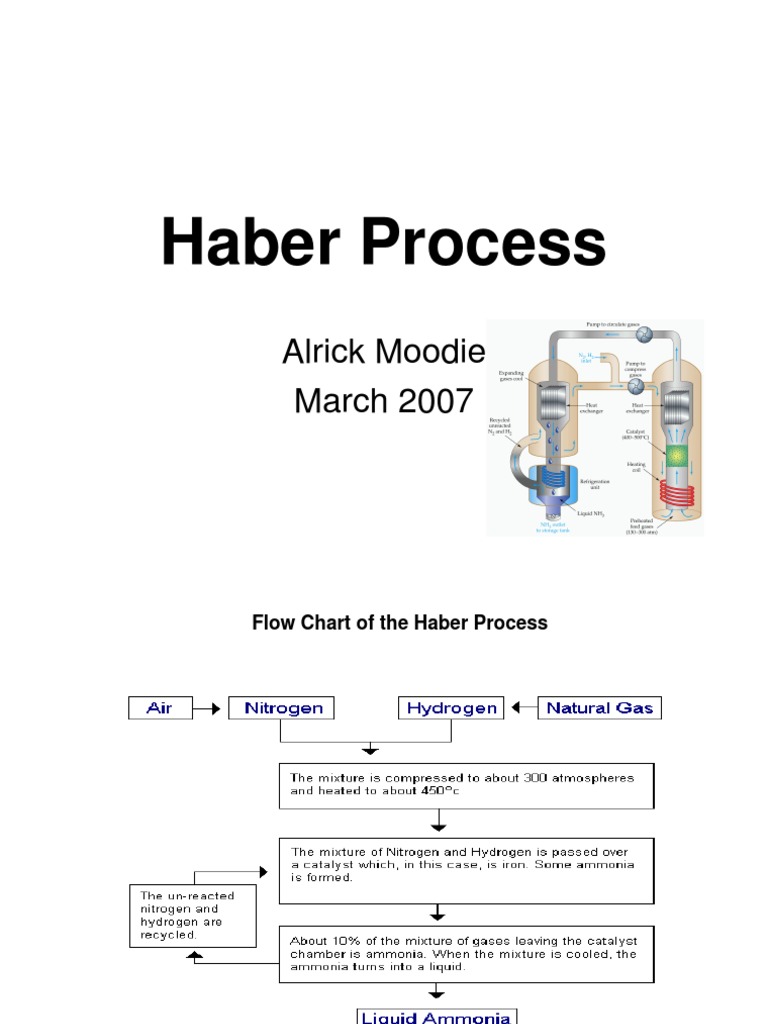 Haber Process | PDF
