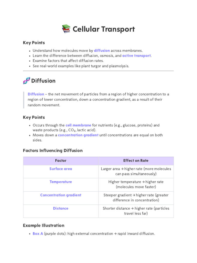 Cellular Transport: Diffusion, Osmosis, Active Transport | PDF ...