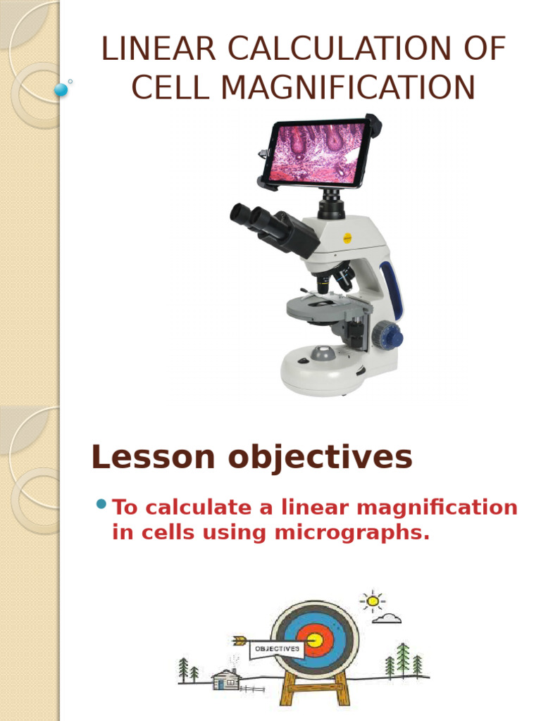 Linear Calculation of Cell Magnification | PDF