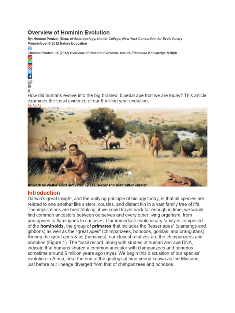 Hominin Evolution Overview: Key Insights | PDF | Hominidae | Ape