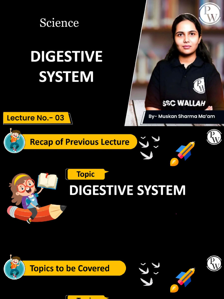 Digestive System 03 Class Notes | PDF