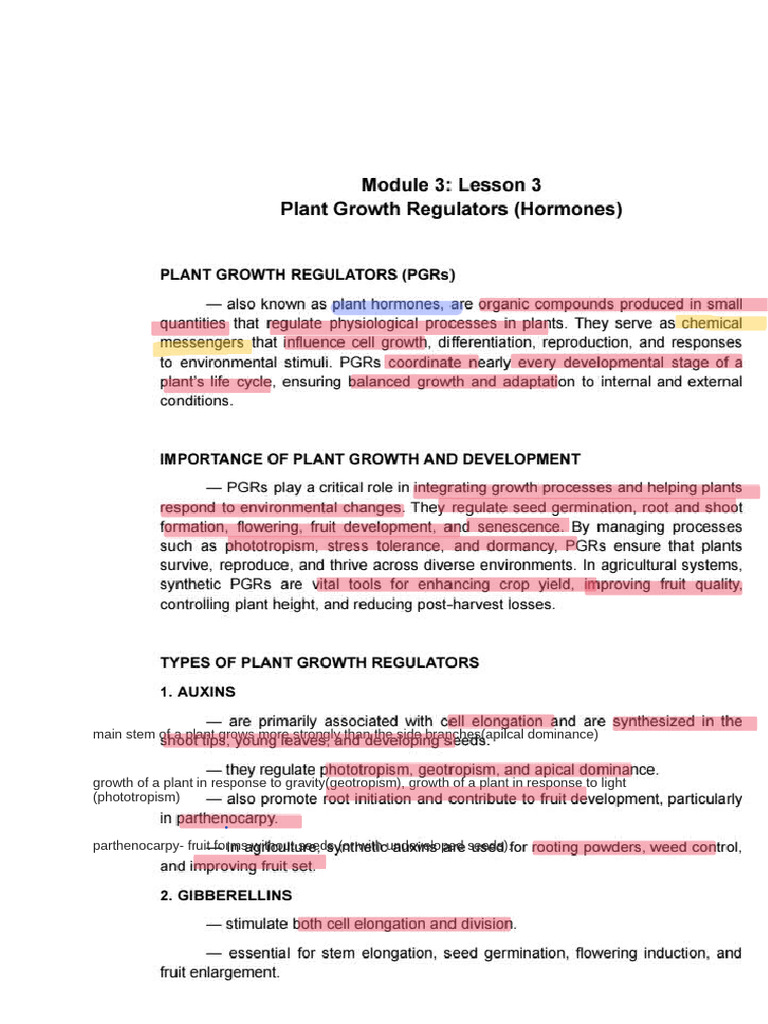 BOTANY-LECTURE_251208_172902 | PDF