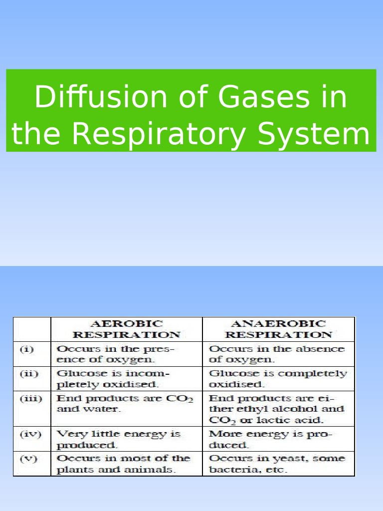 Diffusion of Gases in The Respiratory System | PDF | Respiratory System ...