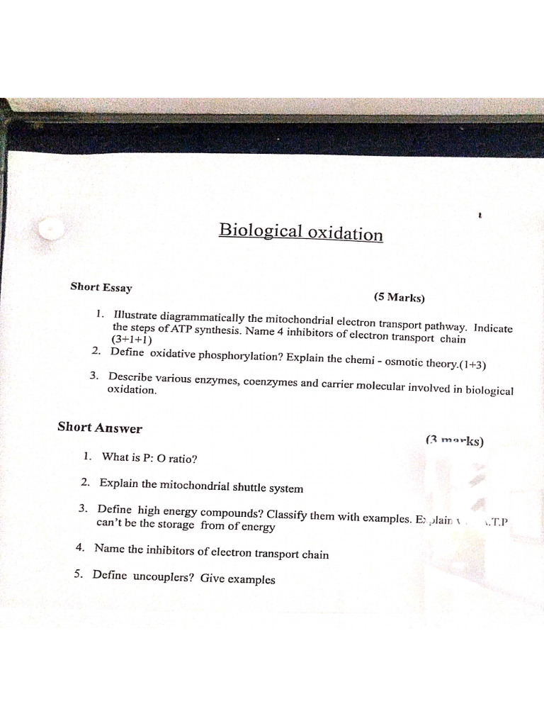 Biochemistry Imp Questions - 2 | PDF