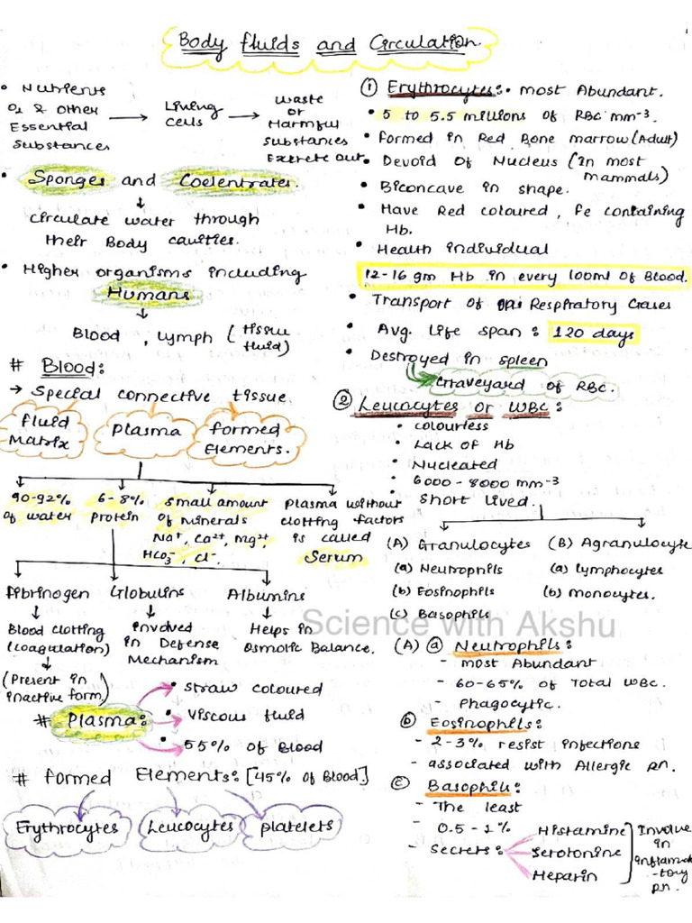 Body Fluids and Circulation | PDF