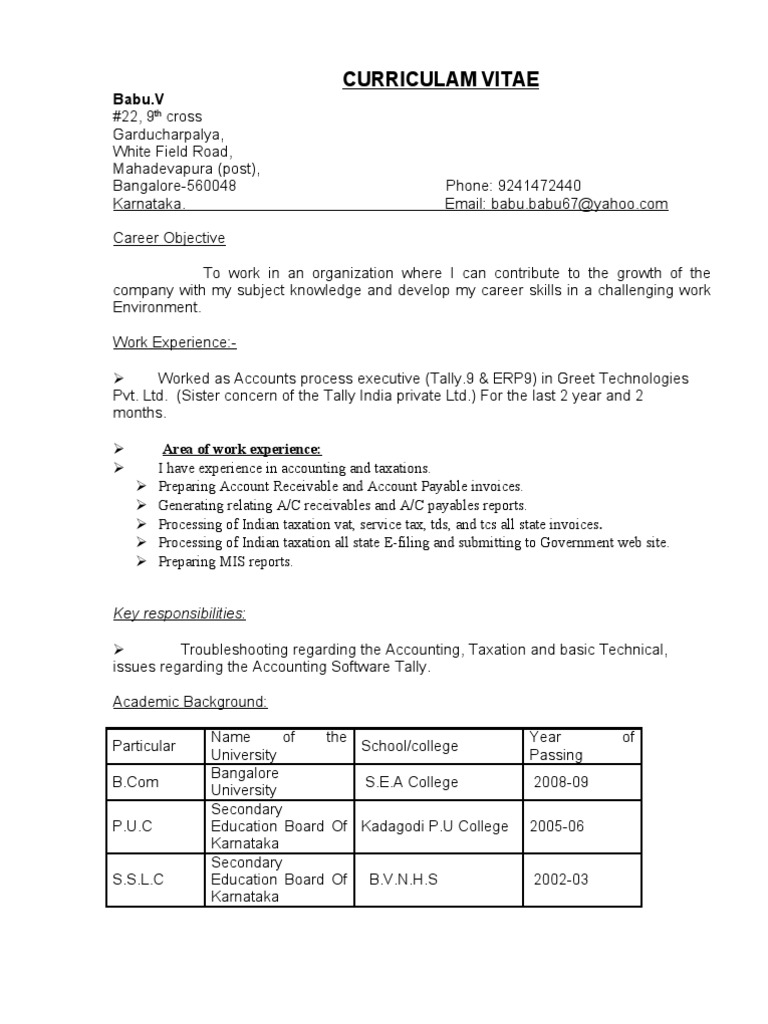 Babu V's Professional CV and Experience | PDF