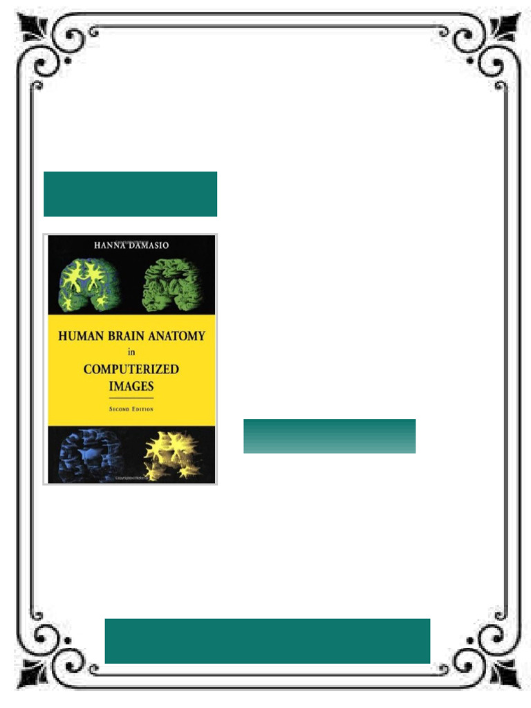 Human Brain Anatomy in Computerized Images 2nd Edition Hanna Damasio M ...