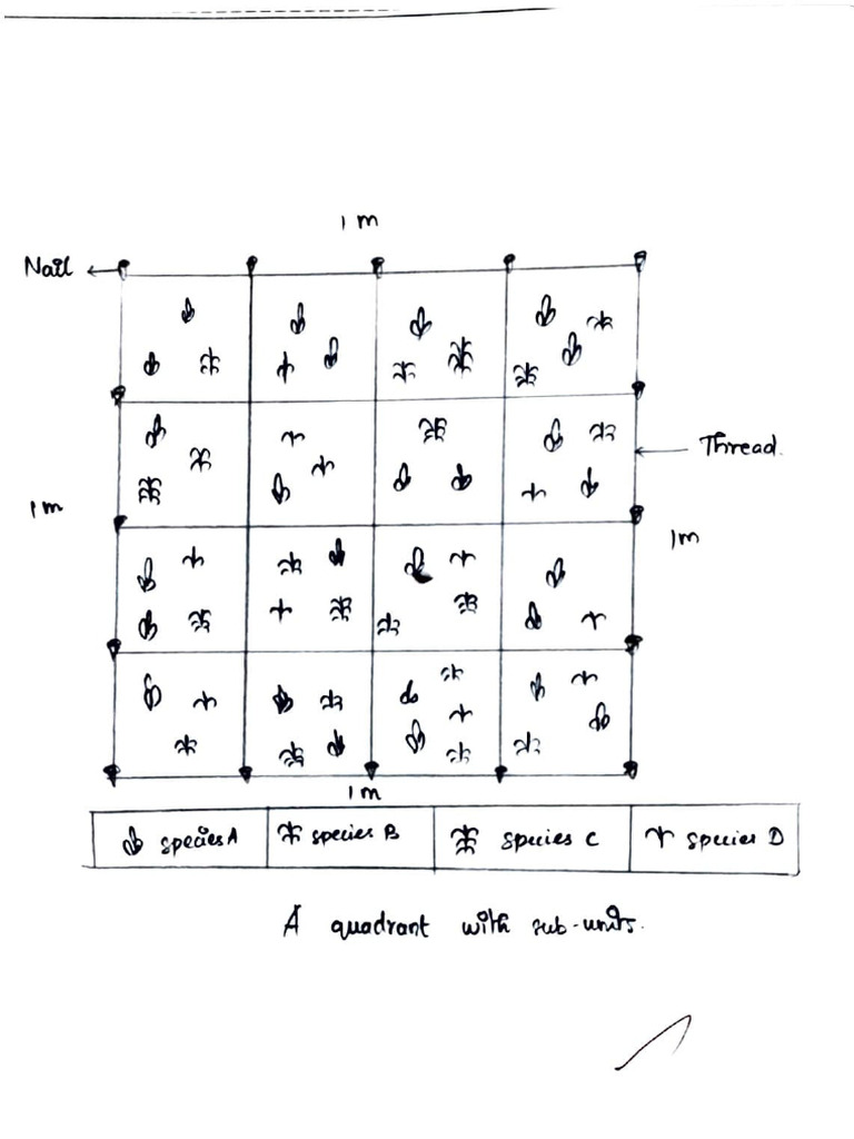 Population Frequency Experiment-3 | PDF