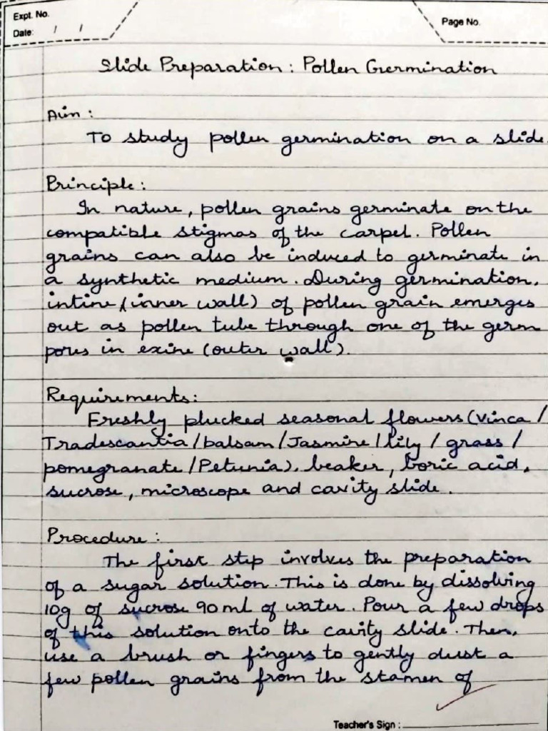 Slide Preparation Pollen Grain Germination | PDF