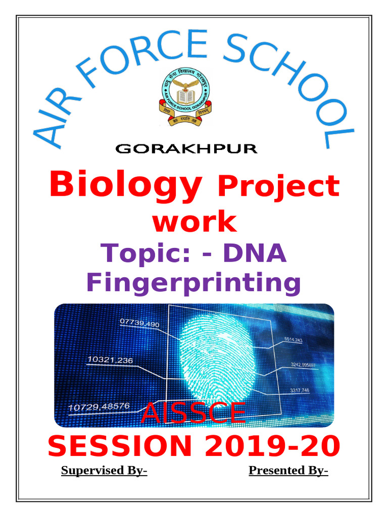 DNA FINGERPRINTING | PDF | Gel Electrophoresis | Polymerase Chain Reaction