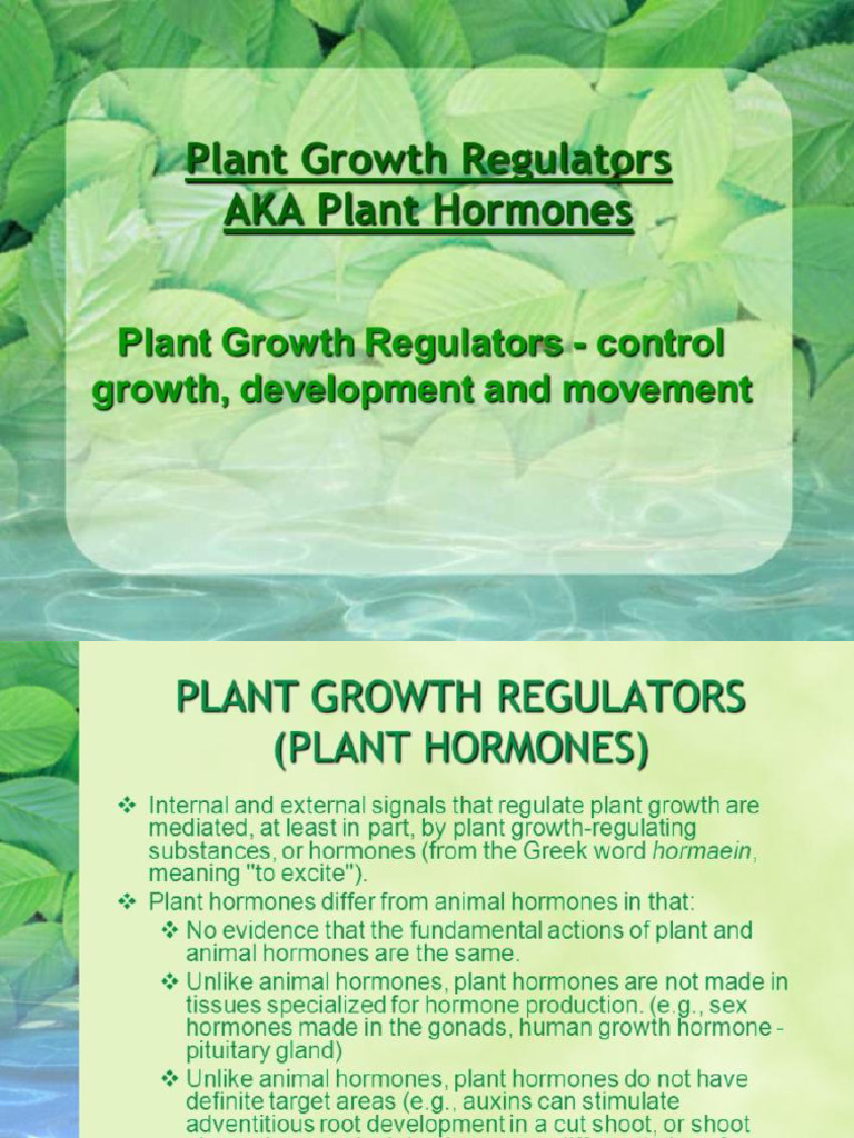 Plant Hormones Notes | PDF