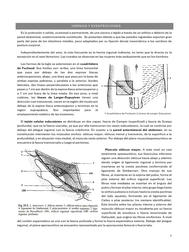 Hernias y Eventraciones | PDF | Abdomen