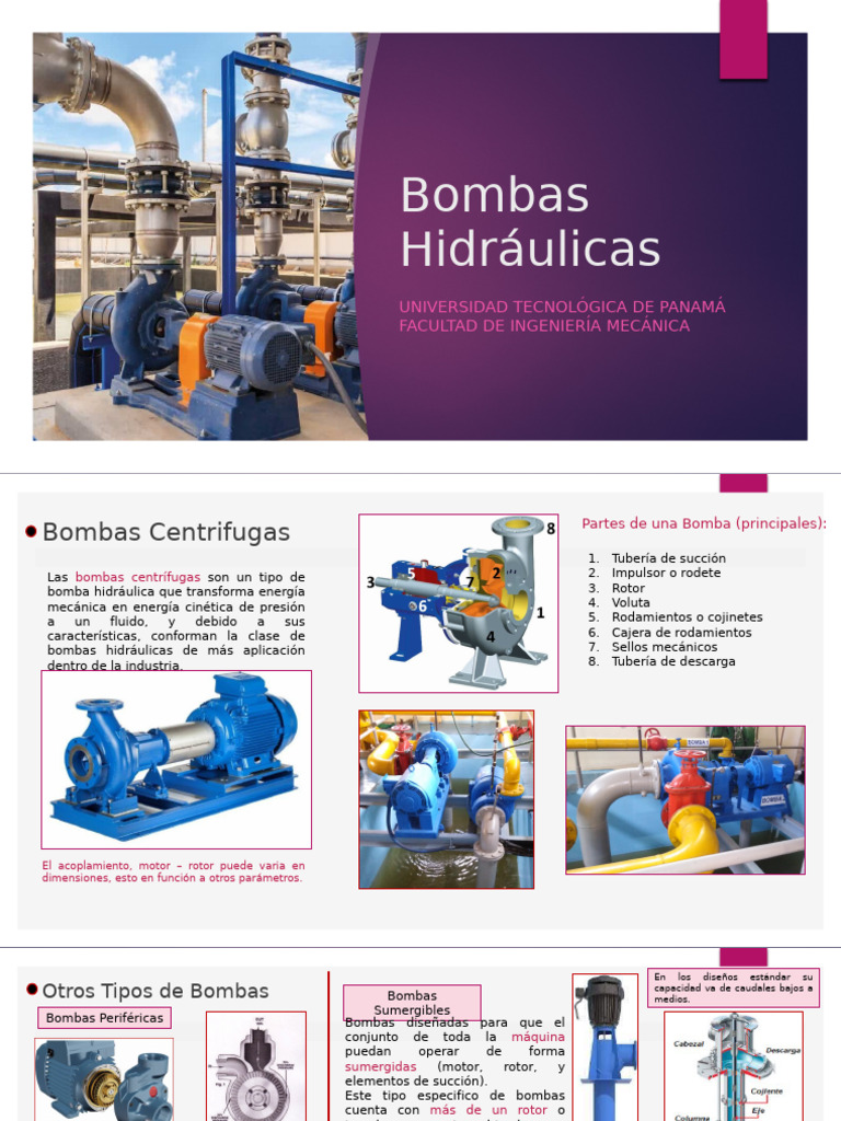 Introduccion a Las Bombas Hidraulicas | PDF | Bomba | Rodamiento (Mecánico)