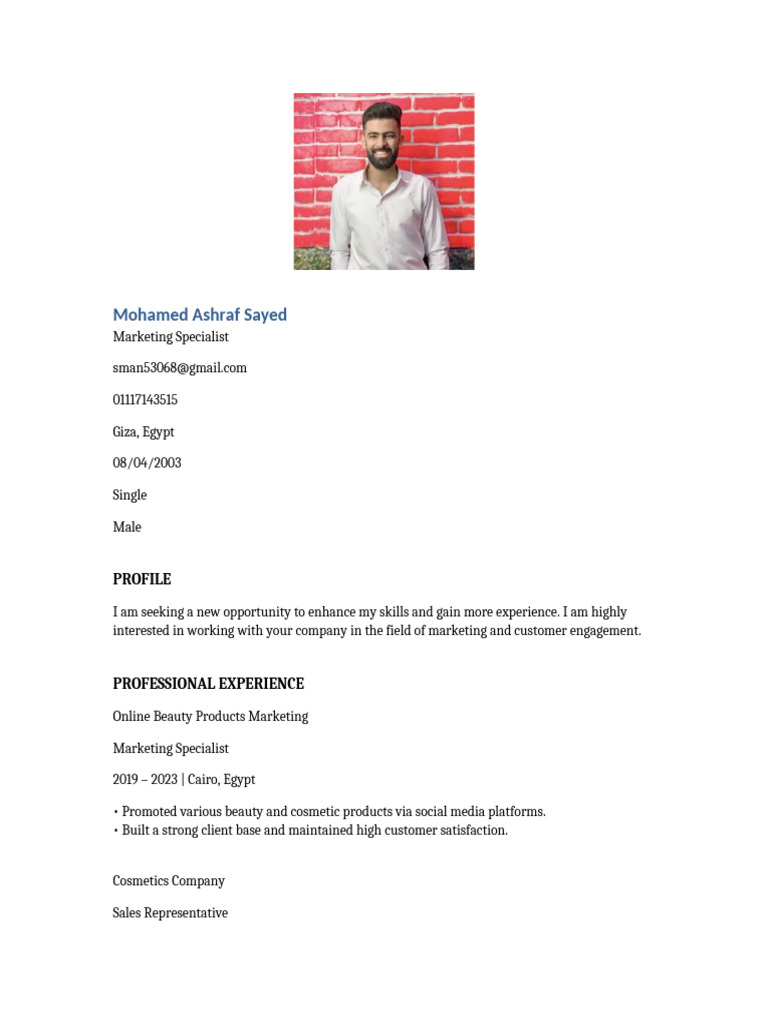 Mohamed Ashraf Sayed CV Final | PDF