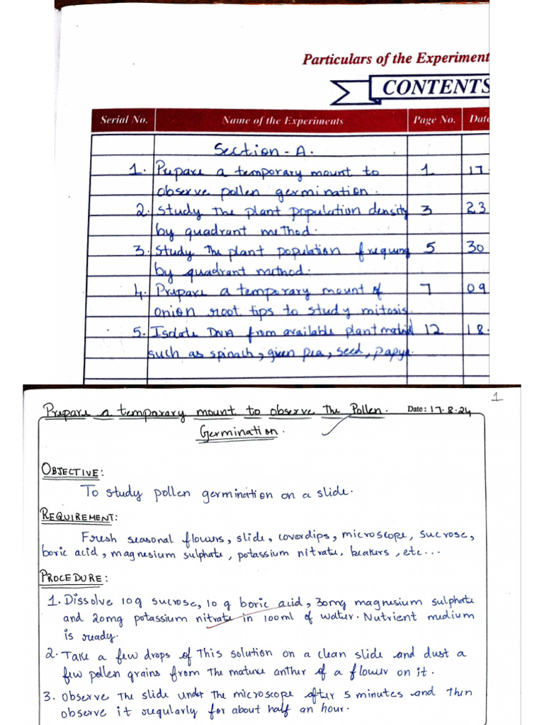 Biology 12LAB Observation PDF | PDF