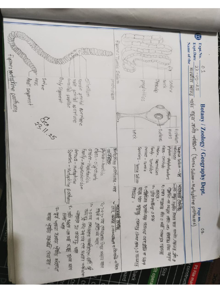 Biology 2nd Paper Practical | PDF