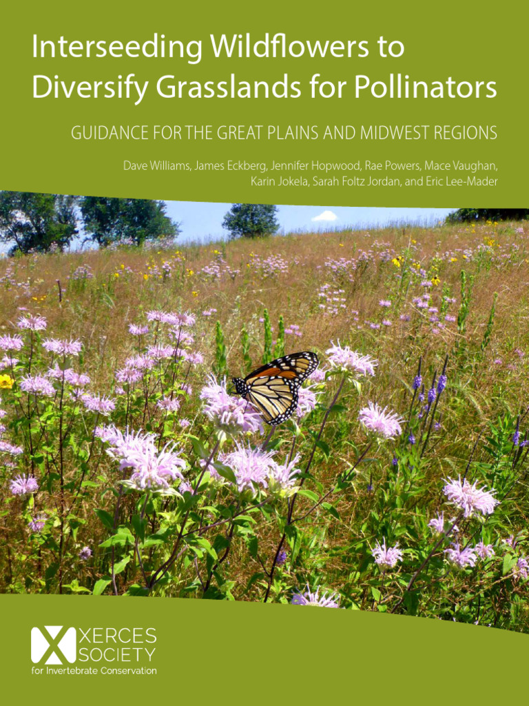 Interseeding Wildflowers to Diversity Grasslands for Pollinators | PDF ...