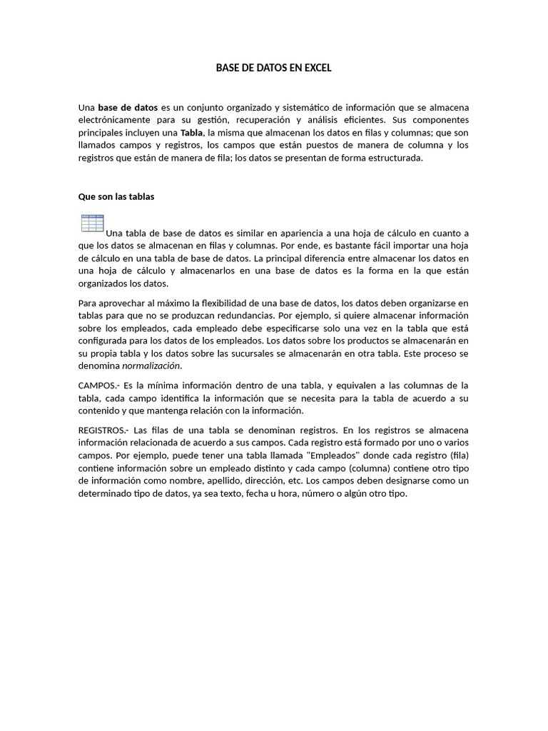 Base de Datos en Excel | PDF